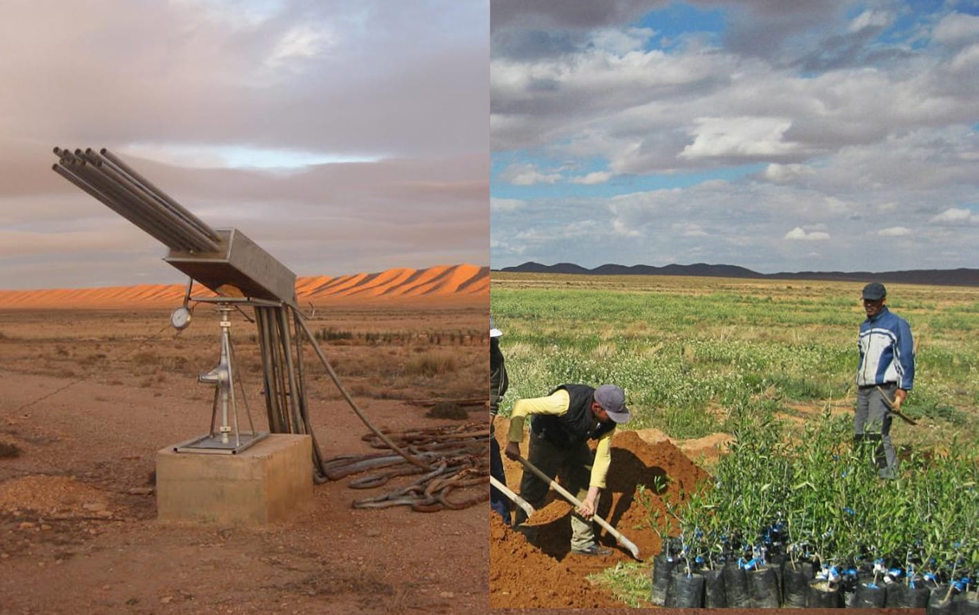 planting trees2 | desert-greening.com